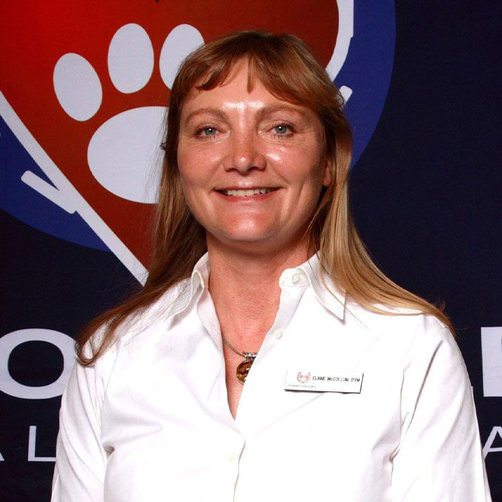 Meet our Vet Team at Chino Valley Animal Hospital